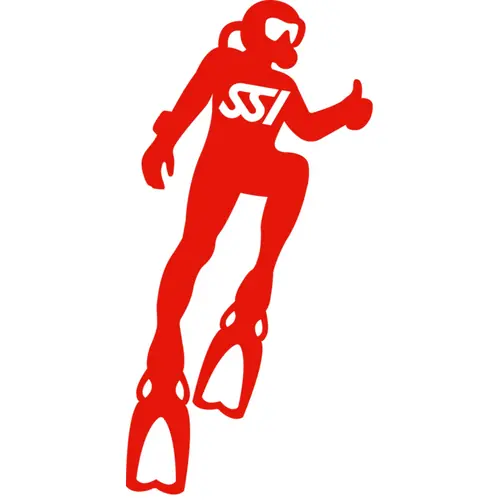 SSI DIVER STICKER | dive shop Divezone